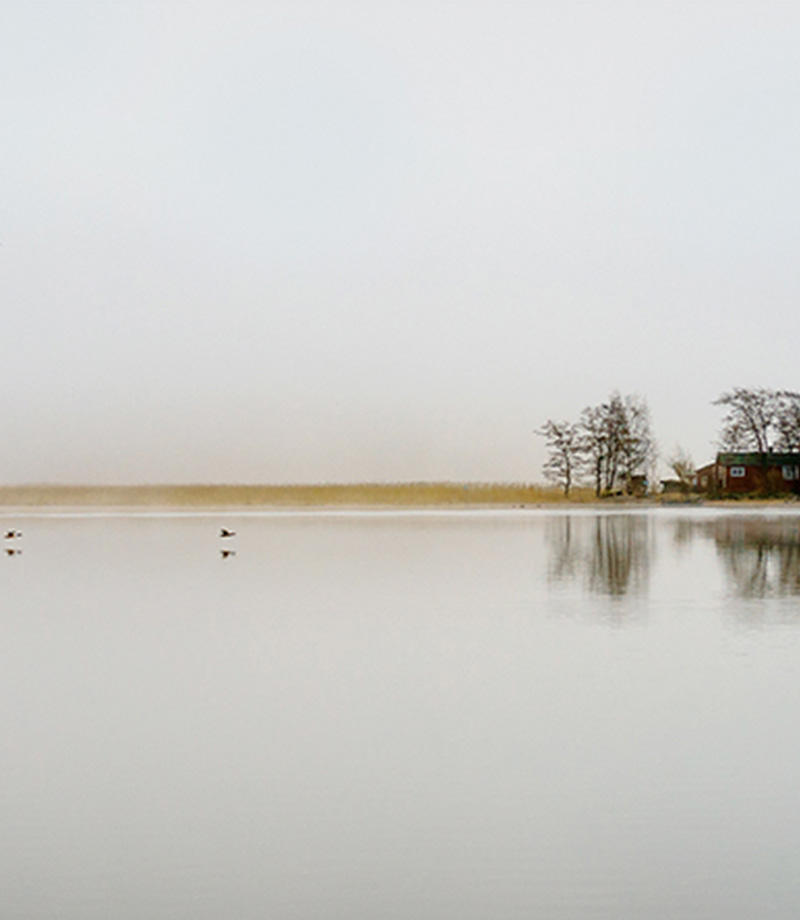 Mist Lake - Executive DIALOG