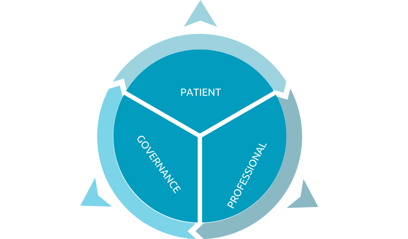 Person-centered care and its principles - Executive DIALOG