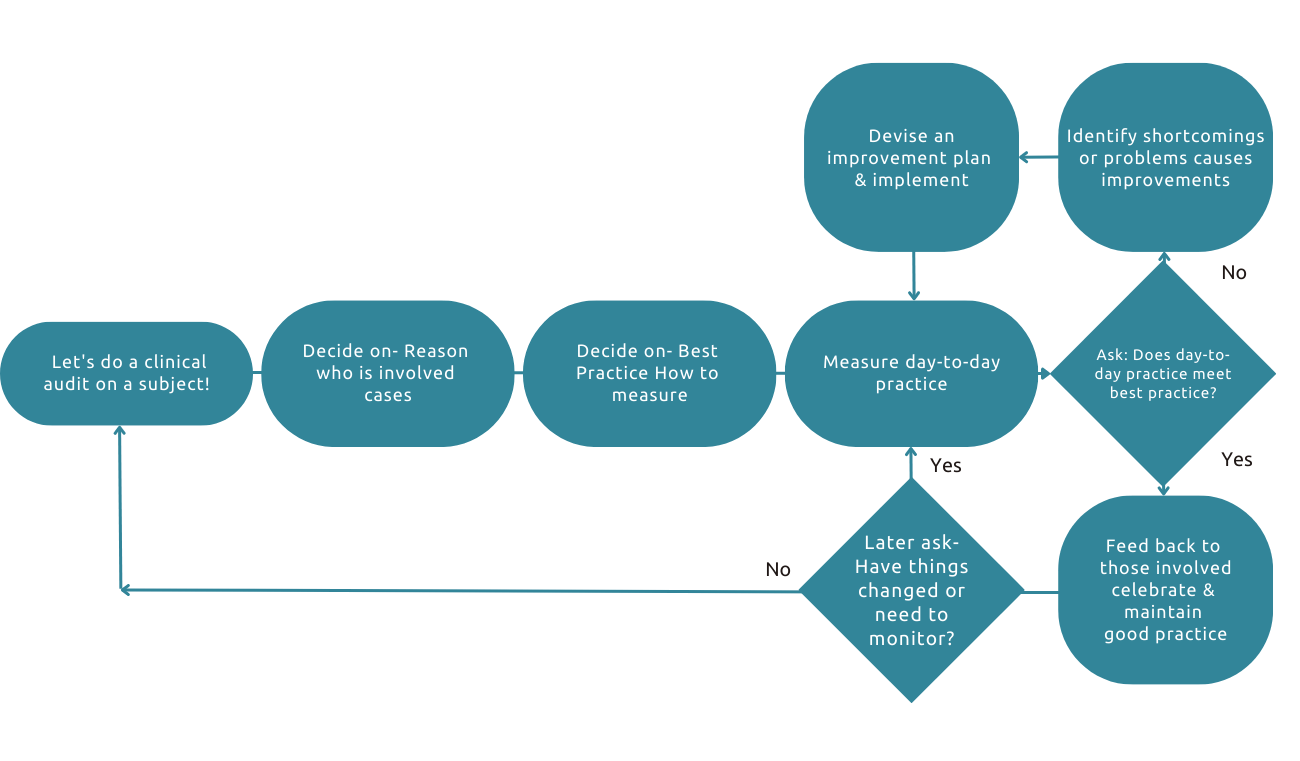 Clinical Audit and its relevance to outcome measures - Executive DIALOG