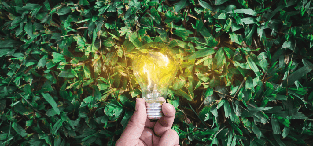 Green-washing and Green-hushing in the Sustainability Journey ...